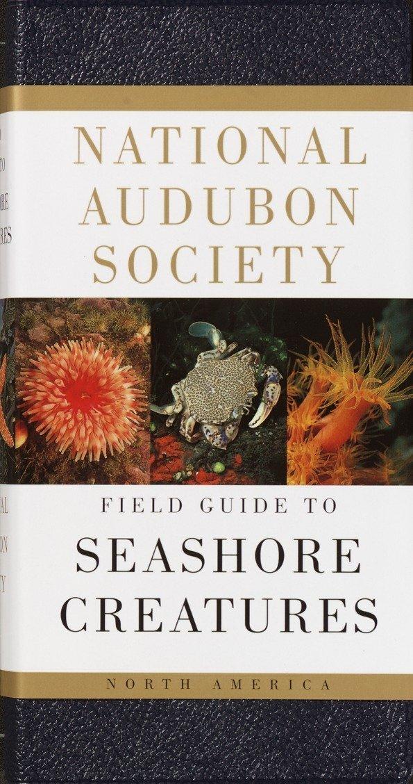National Audubon Society Field Guide to North American Seashore ...