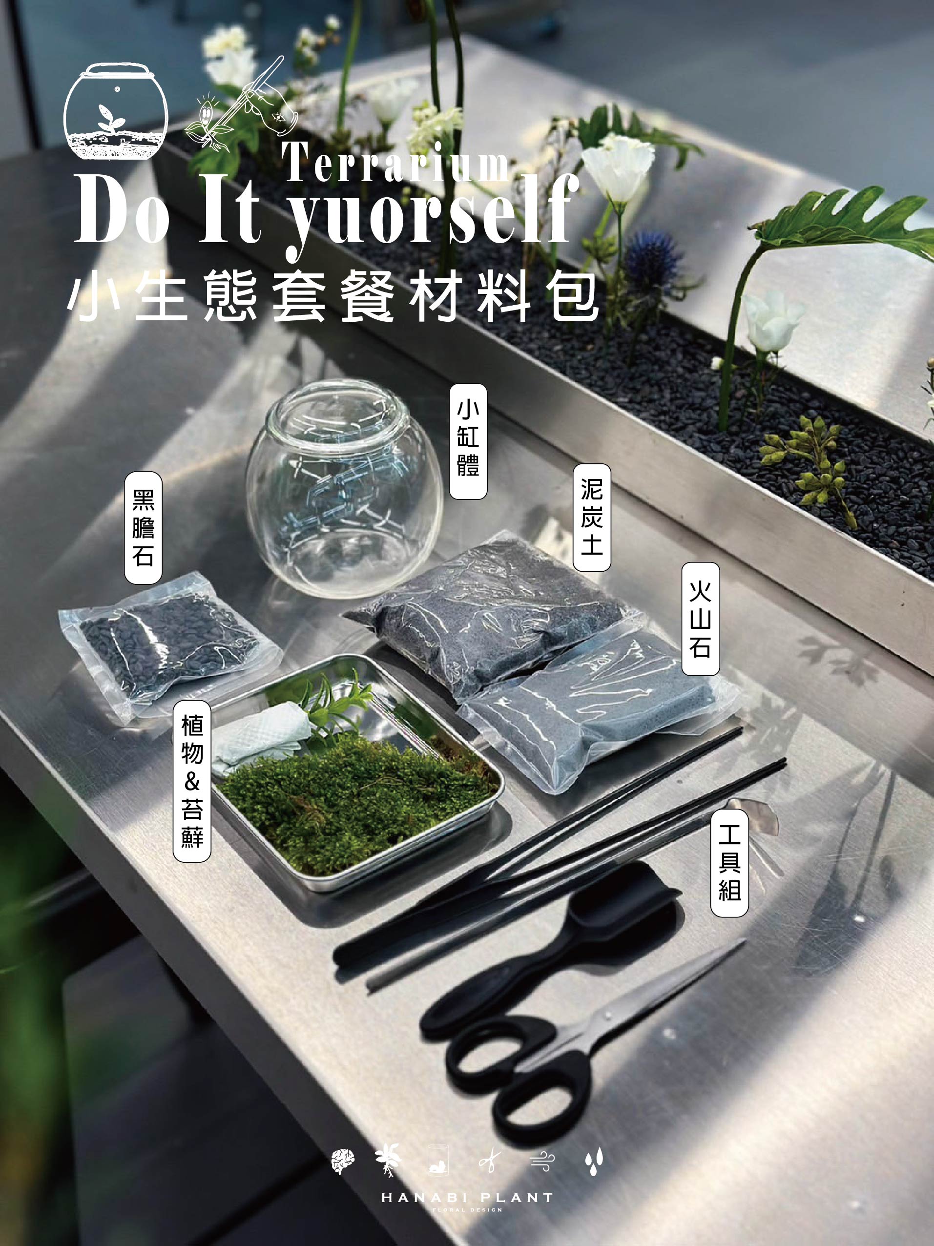 Hanabi plant 煙花蕨醒 DIY材料包-寶貝球 | 誠品線上