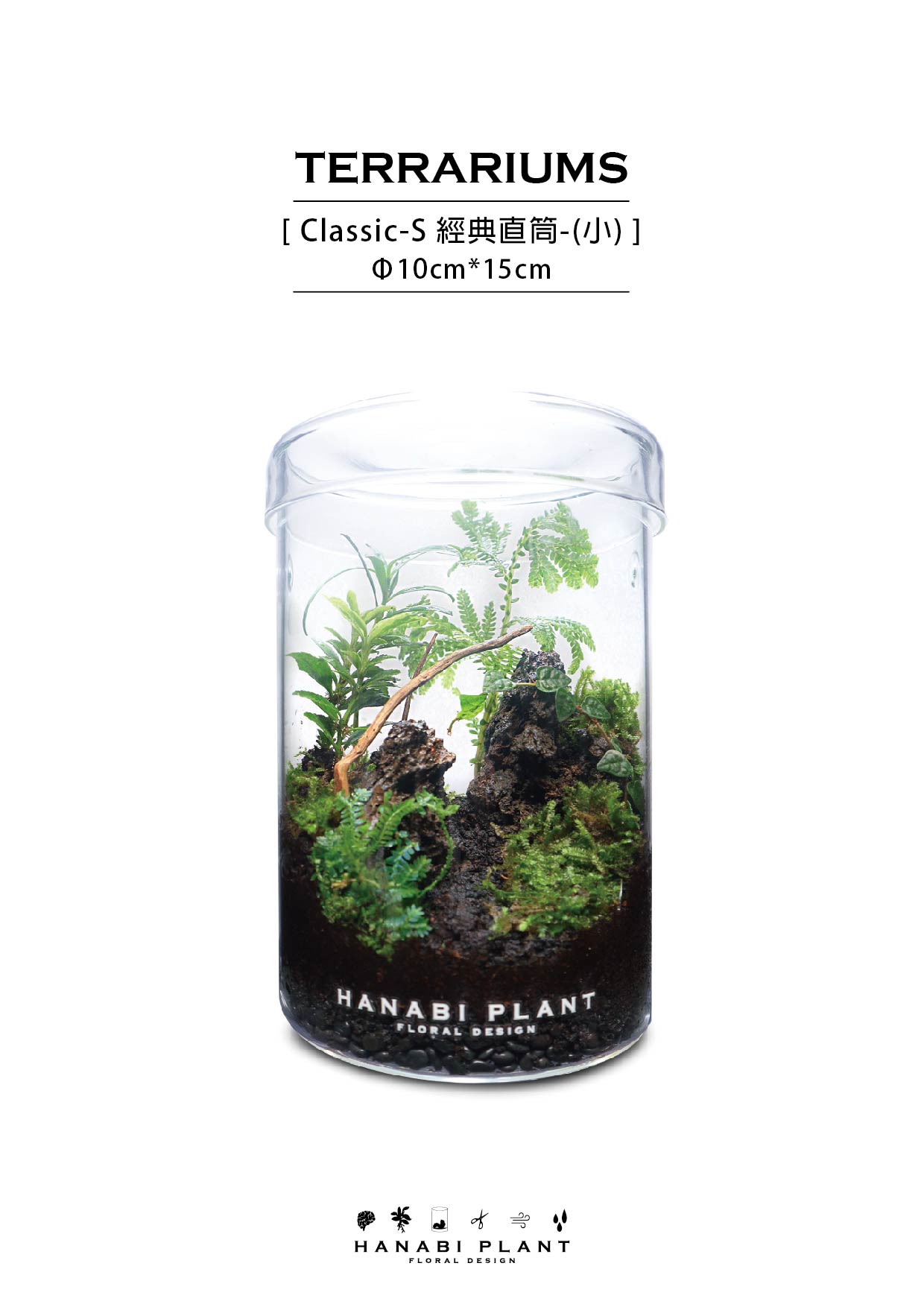 Hanabi plant 煙花蕨醒 經典款生態瓶-直筒 (小) | 誠品線上