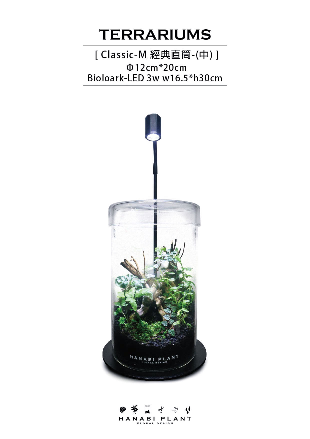 Hanabi plant 煙花蕨醒 經典款生態瓶-直筒 (中)(含Biolark-LED 3W燈) | 誠品線上