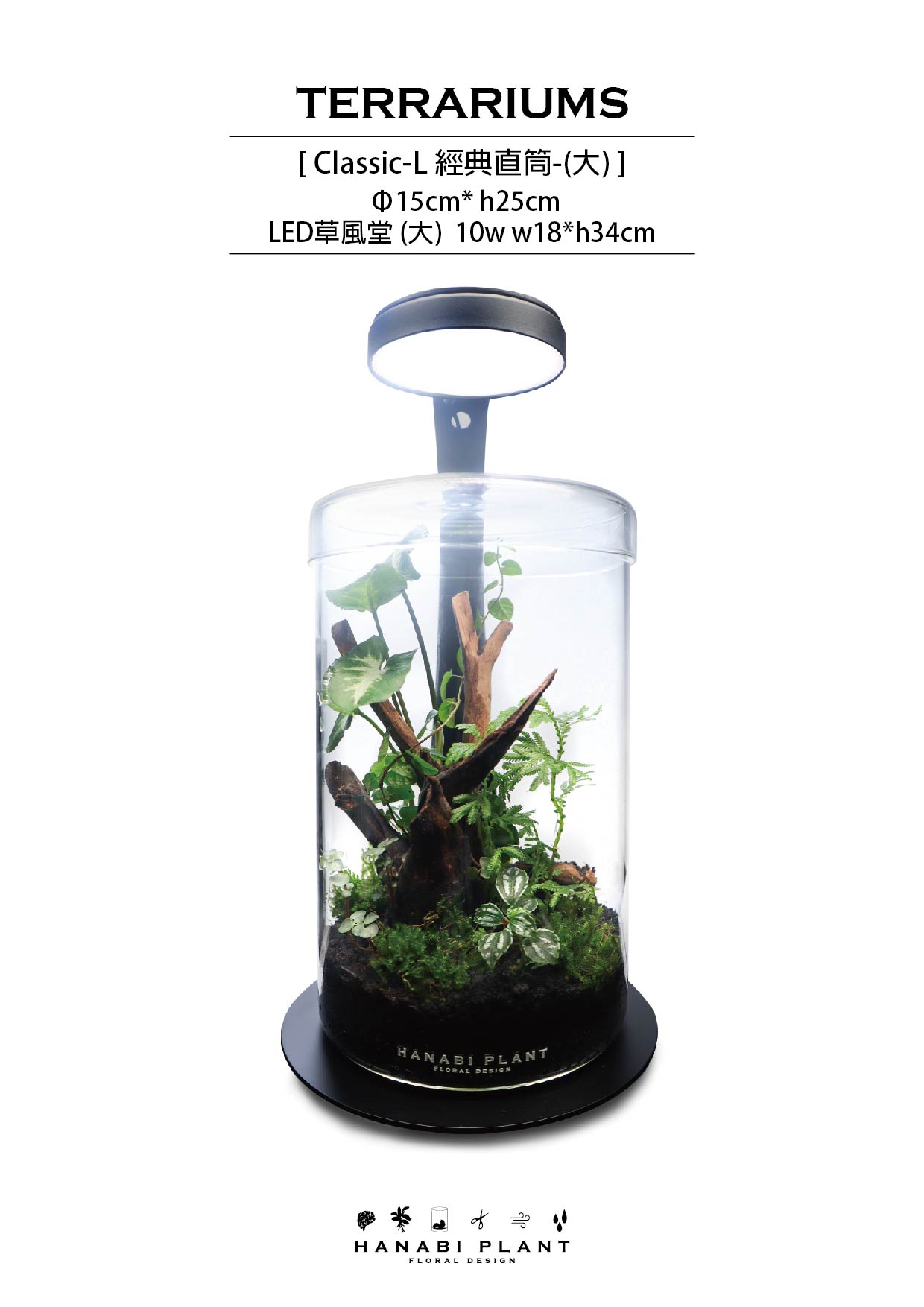 Hanabi plant 煙花蕨醒 經典款生態瓶-直筒 (大)(含草風堂10W植物燈－大) | 誠品線上