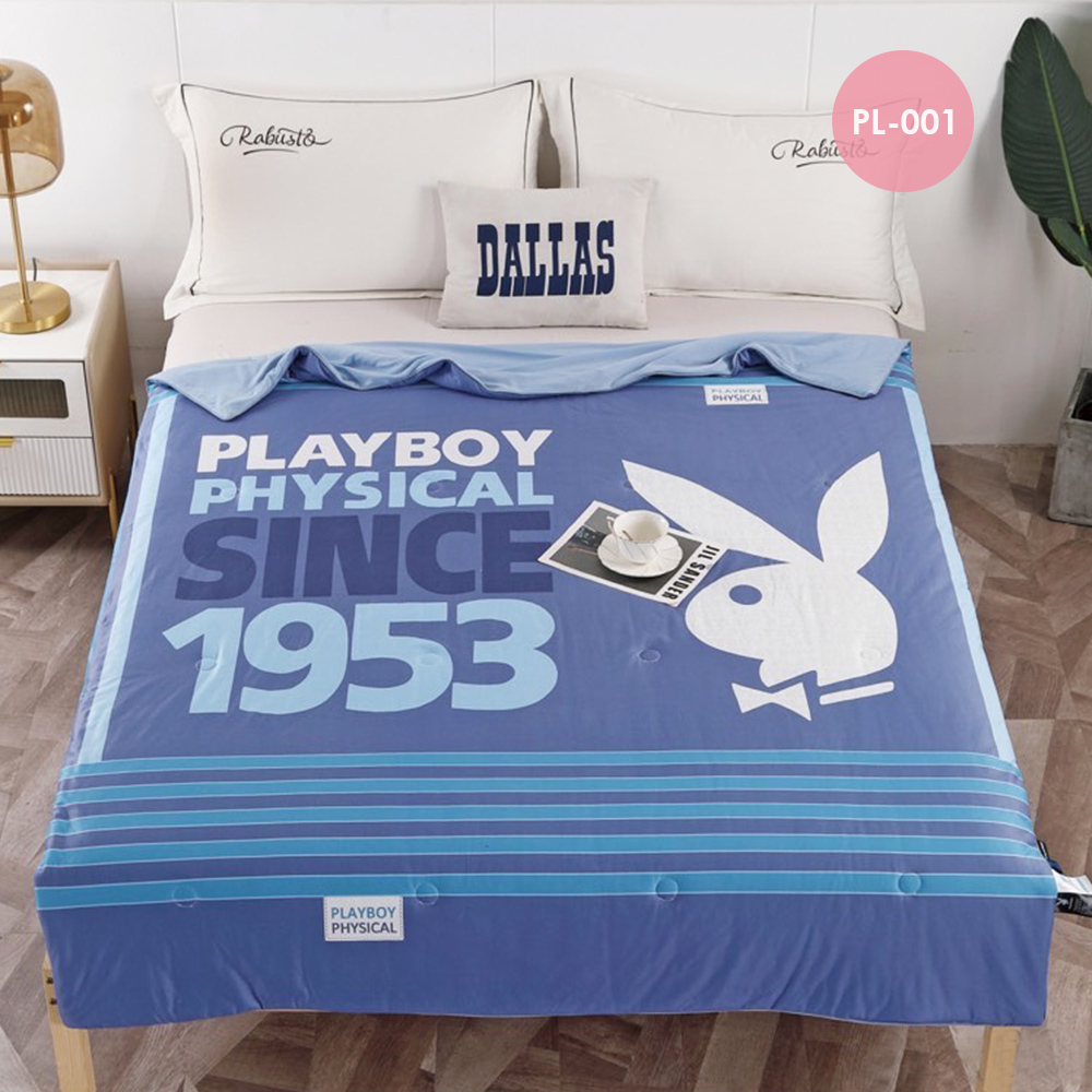 【PLAYBOY】2入組 膠原蛋白涼感冰冰被 涼被 涼感被 冷氣毯 PL-001 | 誠品線上