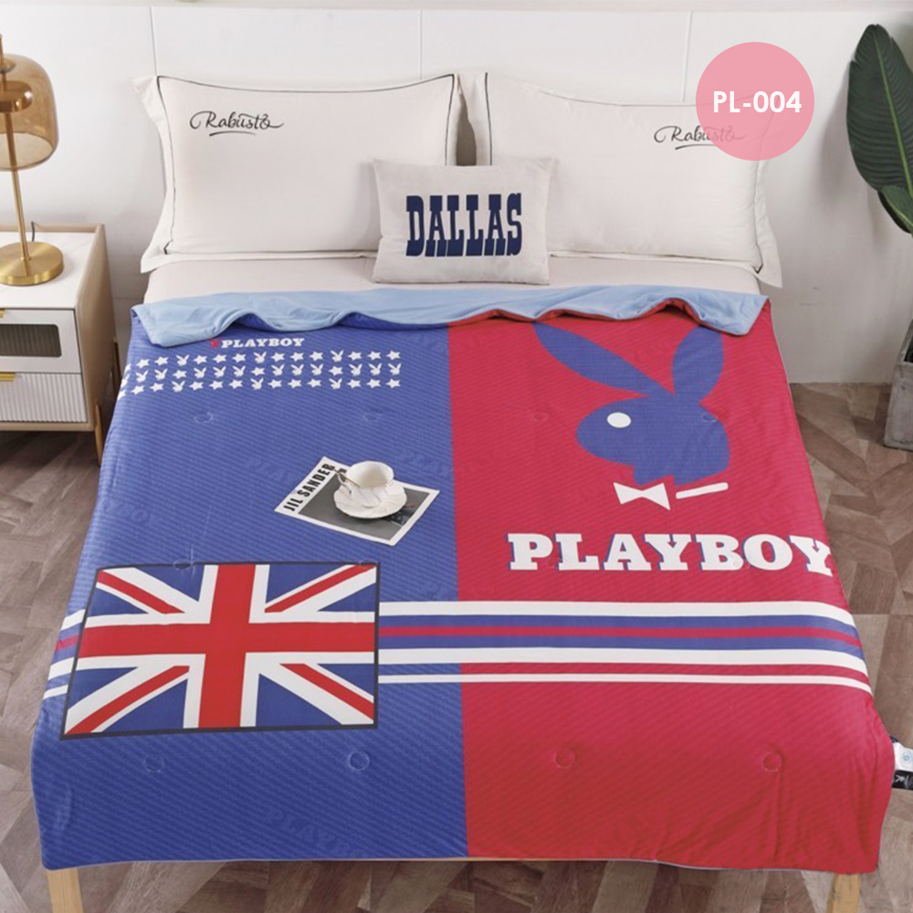 【PLAYBOY】2入組 膠原蛋白涼感冰冰被 涼被 涼感被 冷氣毯 PL-004 | 誠品線上