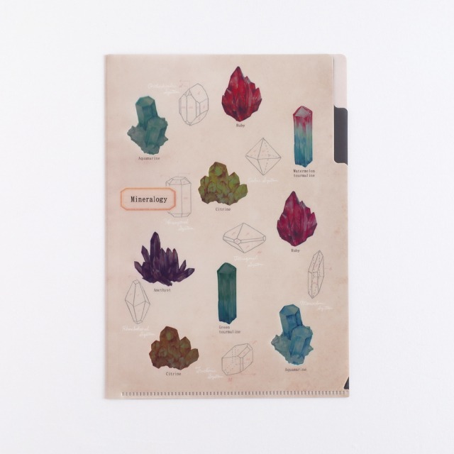日本 GreenFlash 多層資料夾 Study Holic A5 礦物學 | 誠品線上