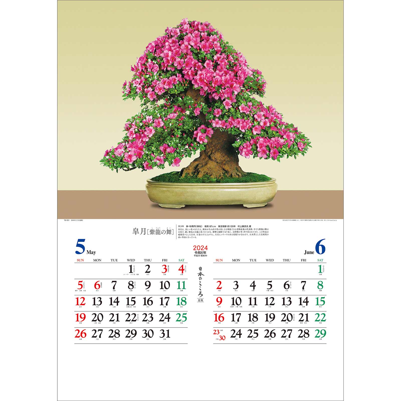 2024 日本 TODAN 掛曆 盆栽 | 誠品線上