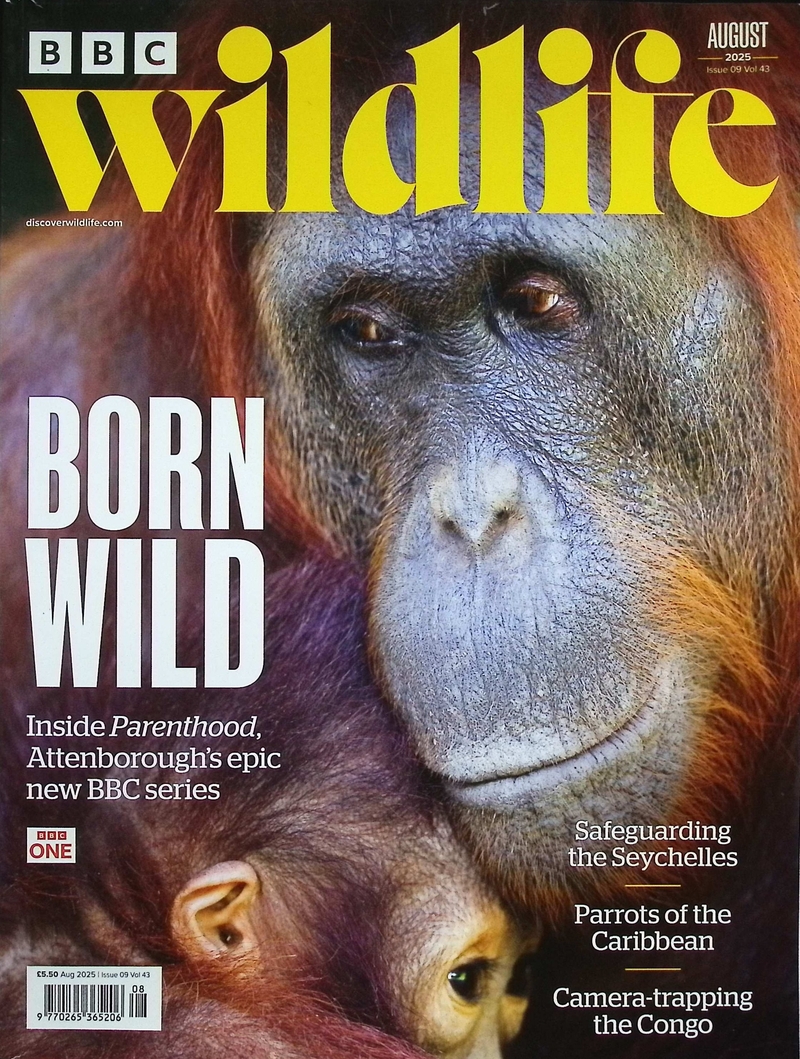 BBC Wildlife (Aug 2025) | 誠品線上