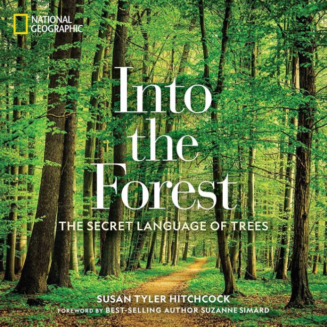 Into the Forest: The Secret Language of Trees | 誠品線上