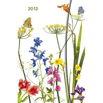 2013 teNeues Magneto Diary Small Ella Doran | 誠品線上