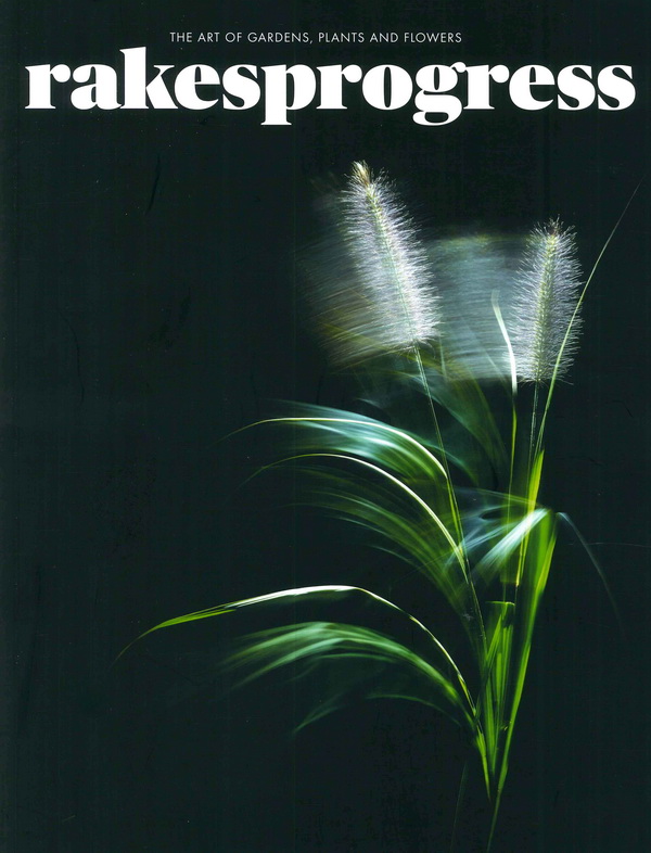 rakes progress (No.15) | 誠品線上