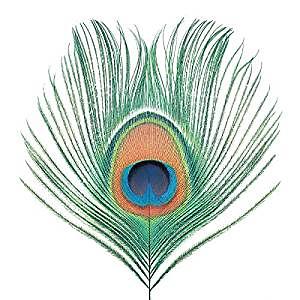Apple Venus Vol. I (200g Vinyl Stereo) | 誠品線上